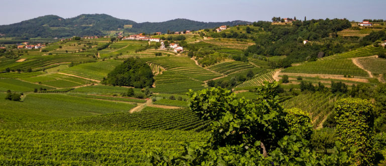 Friuli-Venezia Giulia | Empson & Co.